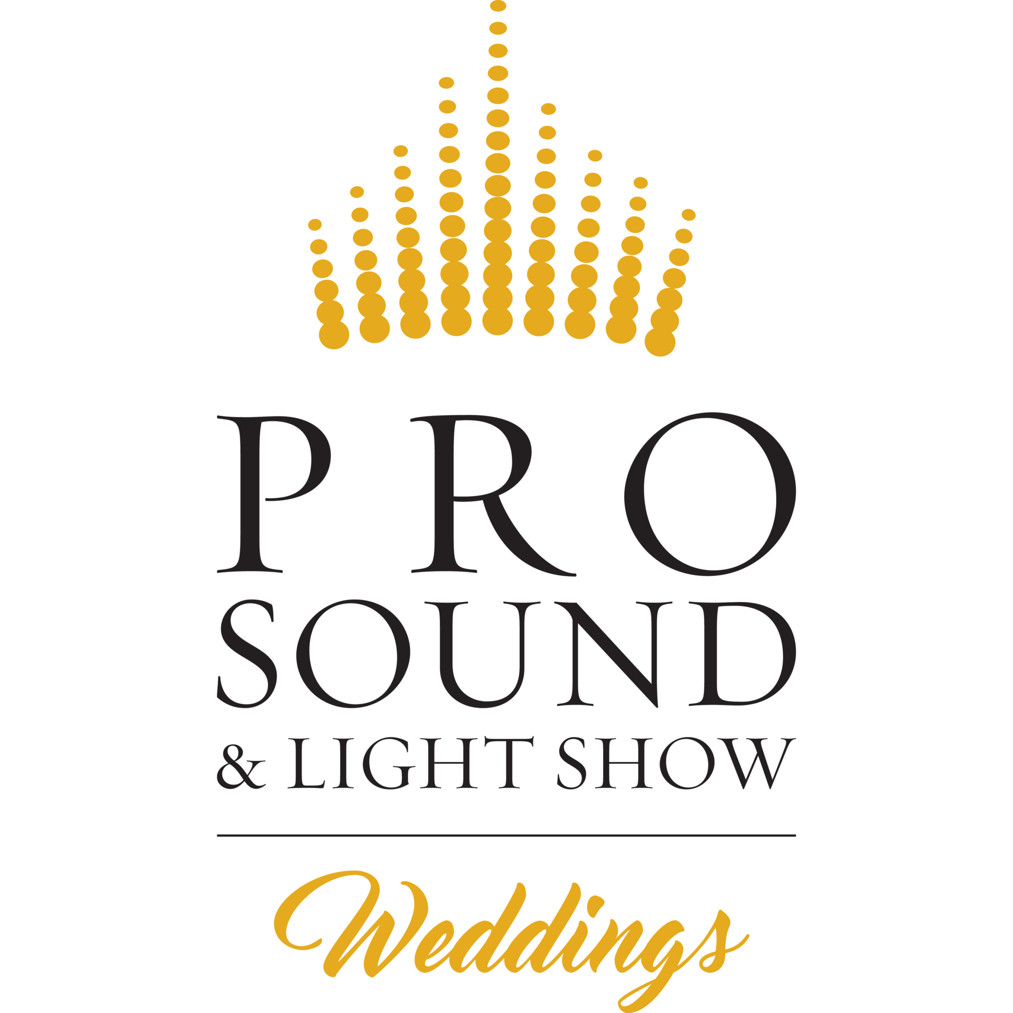 Order Forms Pro Sound And Light Show